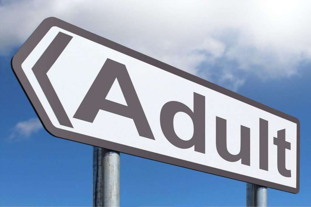 Best Way to be an Adult? Embrace it!
